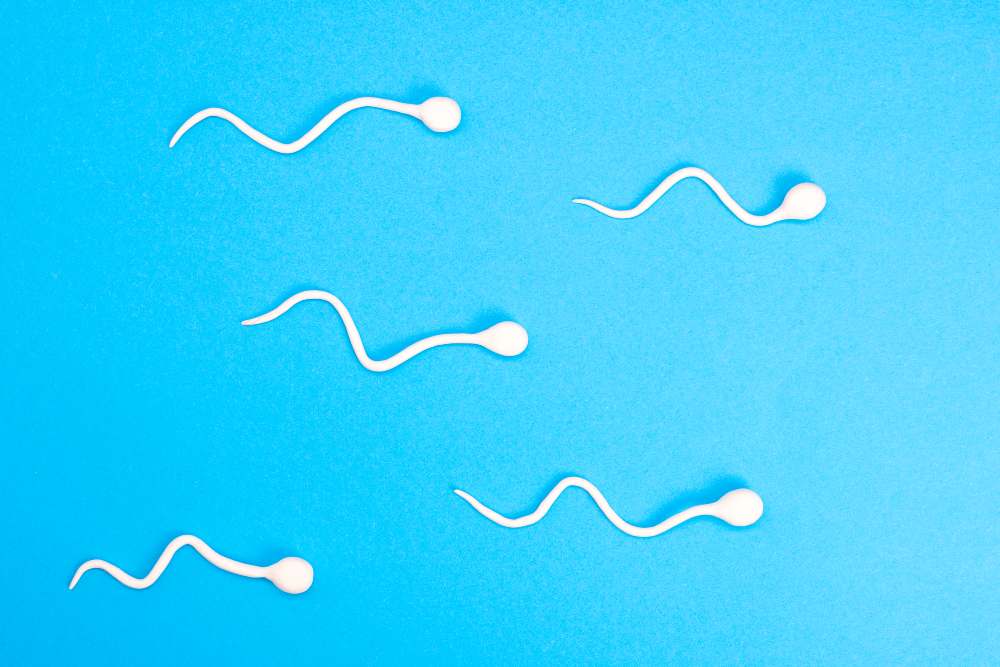 Normal Sperm Count: Range, Analysis Chart, And Pregnancy, 56% OFF